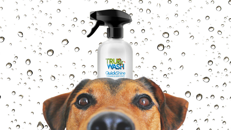TruWASH: Chemical Free Shiny Stuff Cleaner & More | Eco Refills ...